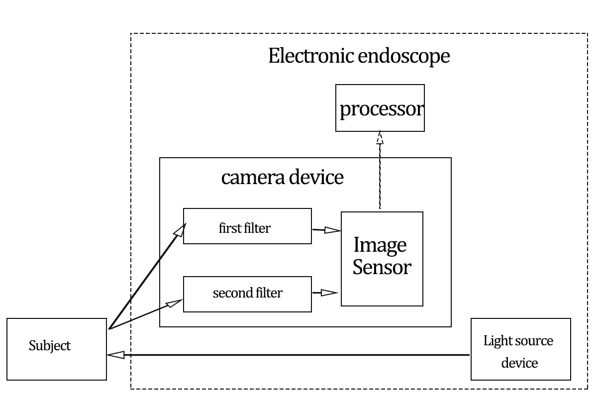 Working principle and clinical application of medical electronic endoscope - Knowledge
